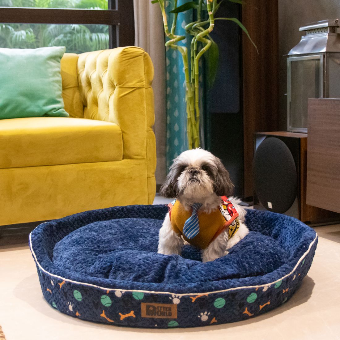 Online Orthopedic Round Cuddler Dog Beds | Petter World